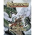 Pathfinder Roleplaying Game: Advanced Player’s Guide: Bulmahn, Jason ...