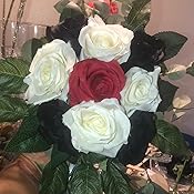 Amazon.com: FloraCraft Floral Cage Arranger with Floral Wet Foam 3.25 ...