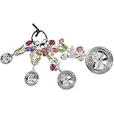 Amazon.com: Ganz 4-Piece Measuring Spoons Boxed with Rack, Birds: Bird ...
