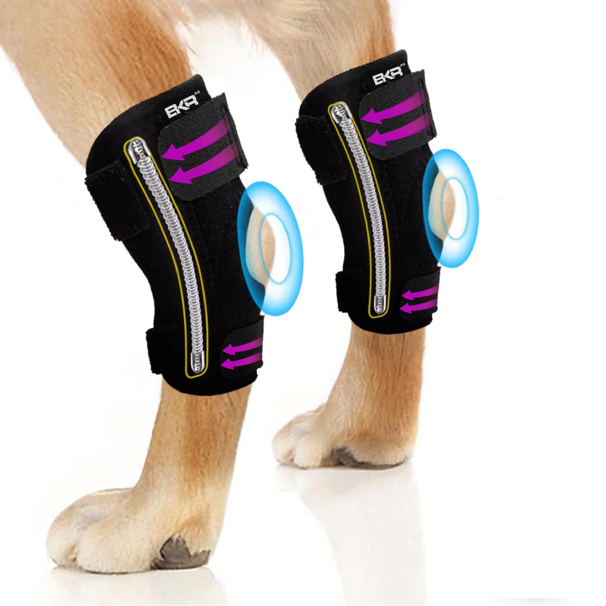 BKRMART Dog Leg Brace for Back Leg Rear Leg Hock Brace with Metal ...