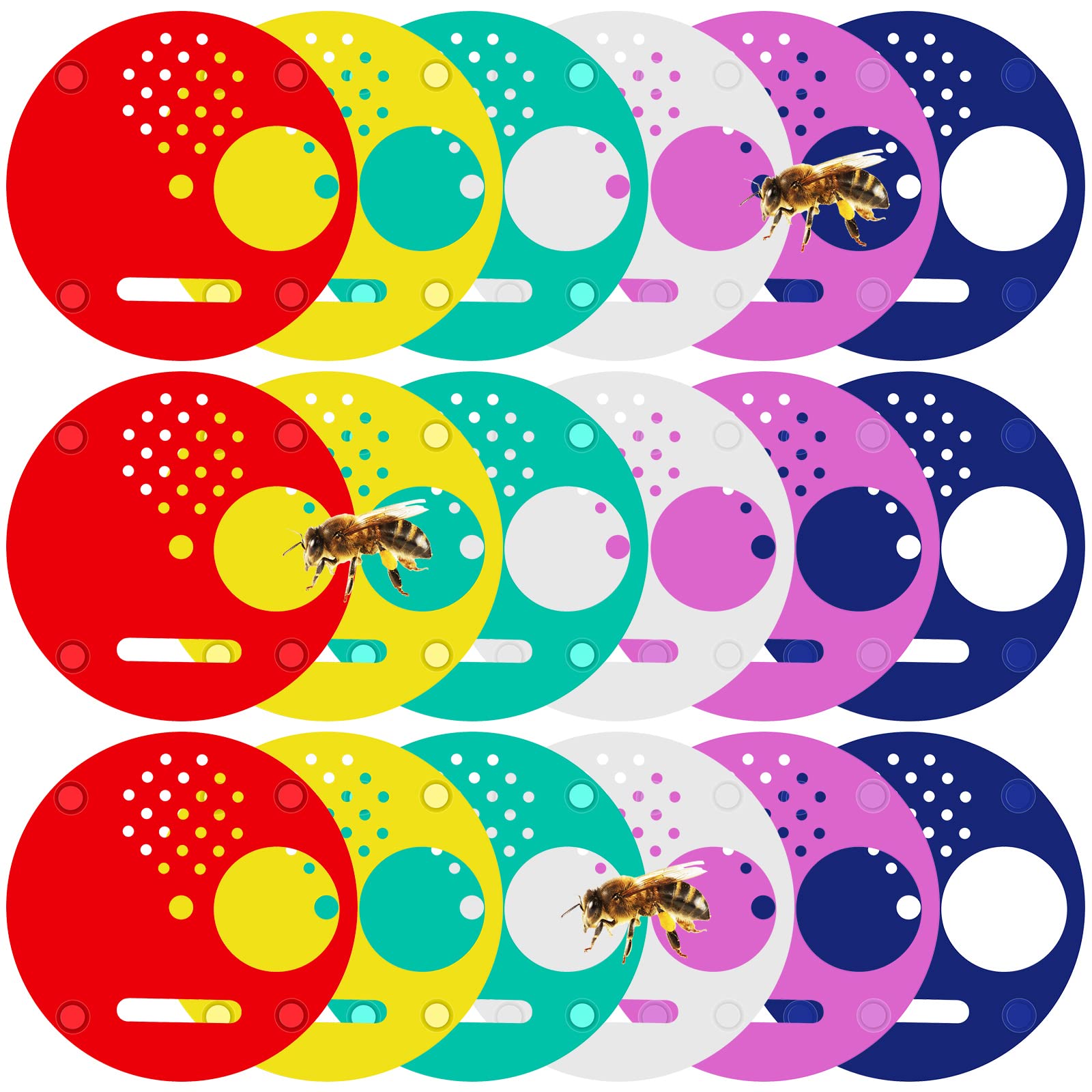 60 Pcs Plastic Bee Hive Box Entrance Gate 2.68 Inch Entrance Disc Bee ...