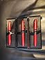 Amazon.com: Sheaffer Icon Metallic Red with Gloss Black PVD Appts ...