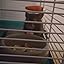 Rosewood PICO Hamster Home, Extra Large, Translucent Teal: Amazon.co.uk ...
