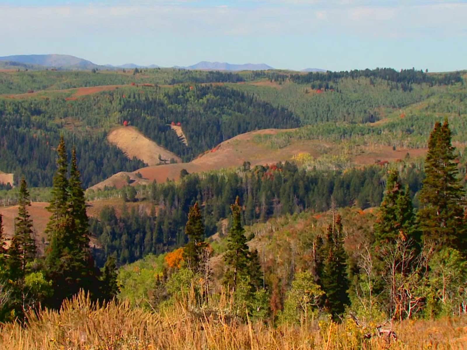 Watch Hunt Masters - Season 5 | Prime Video