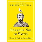 Reasons Not to Worry: How to Be Stoic in Chaotic Times―A Practical ...