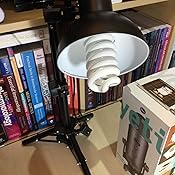 Ex-Pro 240V 35W Photo Professional Midi Pro Day Light: Amazon.co.uk ...