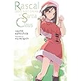 Rascal Does Not Dream of Santa Claus (Light Novel): Volume 13 ...
