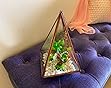 TrustBasket Triangular Tower Terrarium for Small Indoor Plants : Amazon ...