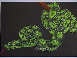 Intricate Ink Animals in Detail a Coloring Book by Tim Jeffs CBK002 ...