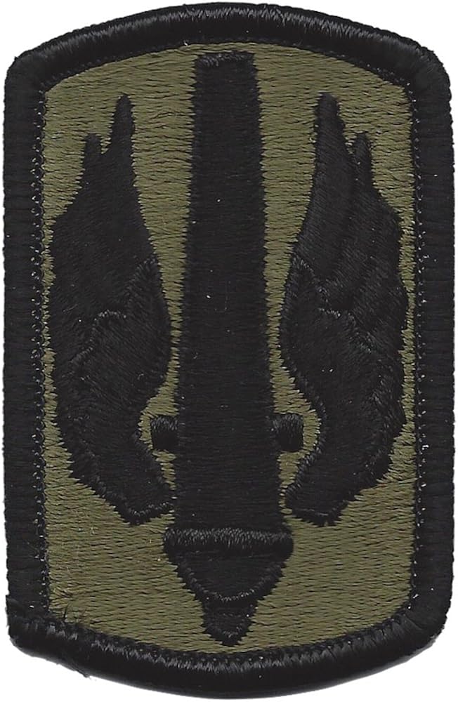 Amazon.com: 18th Field Artillery Brigade Patch OD ACU: Clothing