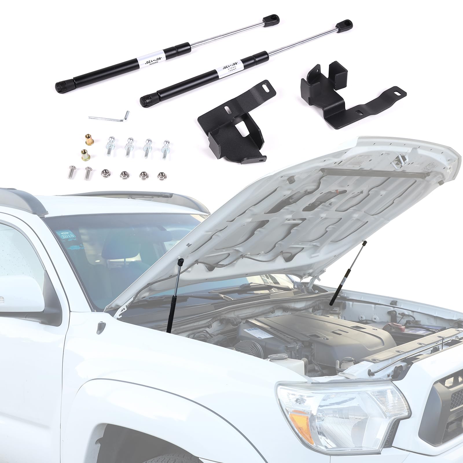 Front Hood Lift Supports Gas Springs Shocks Struts Compatible with ...