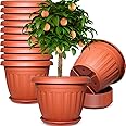 Amazon.com: Tcevily 12 Pack 12 Inch Plastic Plant Pots with Saucers ...