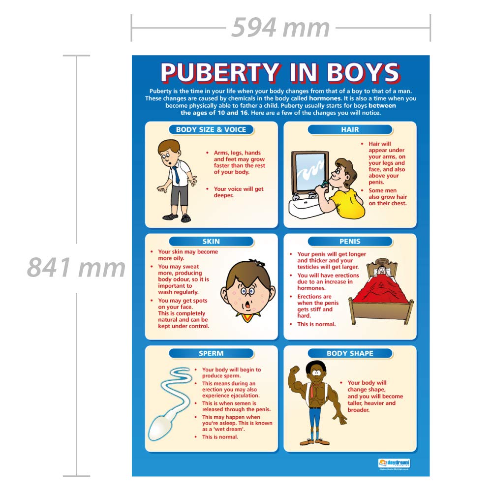 Puberty In Boys Pshe Posters Gloss Paper Measuring 850mm X 594mm