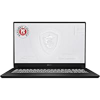 Amazon.com: MSI WS76 Workstation Laptop: 17.3" 144Hz FHD 1080p, Intel ...