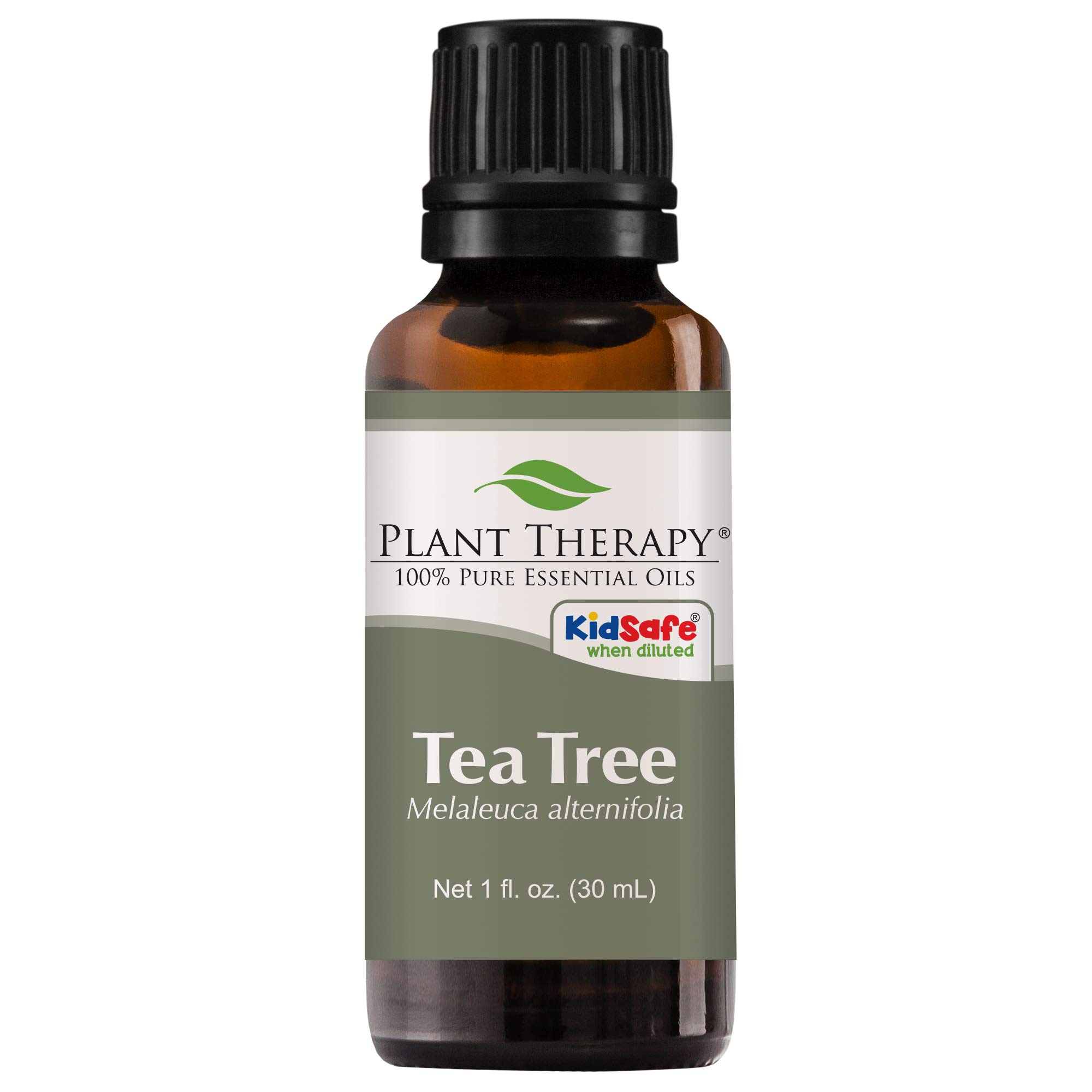 Amazon.com : Plant Therapy Invigor Aid Synergy Essential Oil 30 mL (1 ...