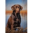 Amazon.com: Goiancy Brown Labrador at Lake Diamond Painting Kits for ...