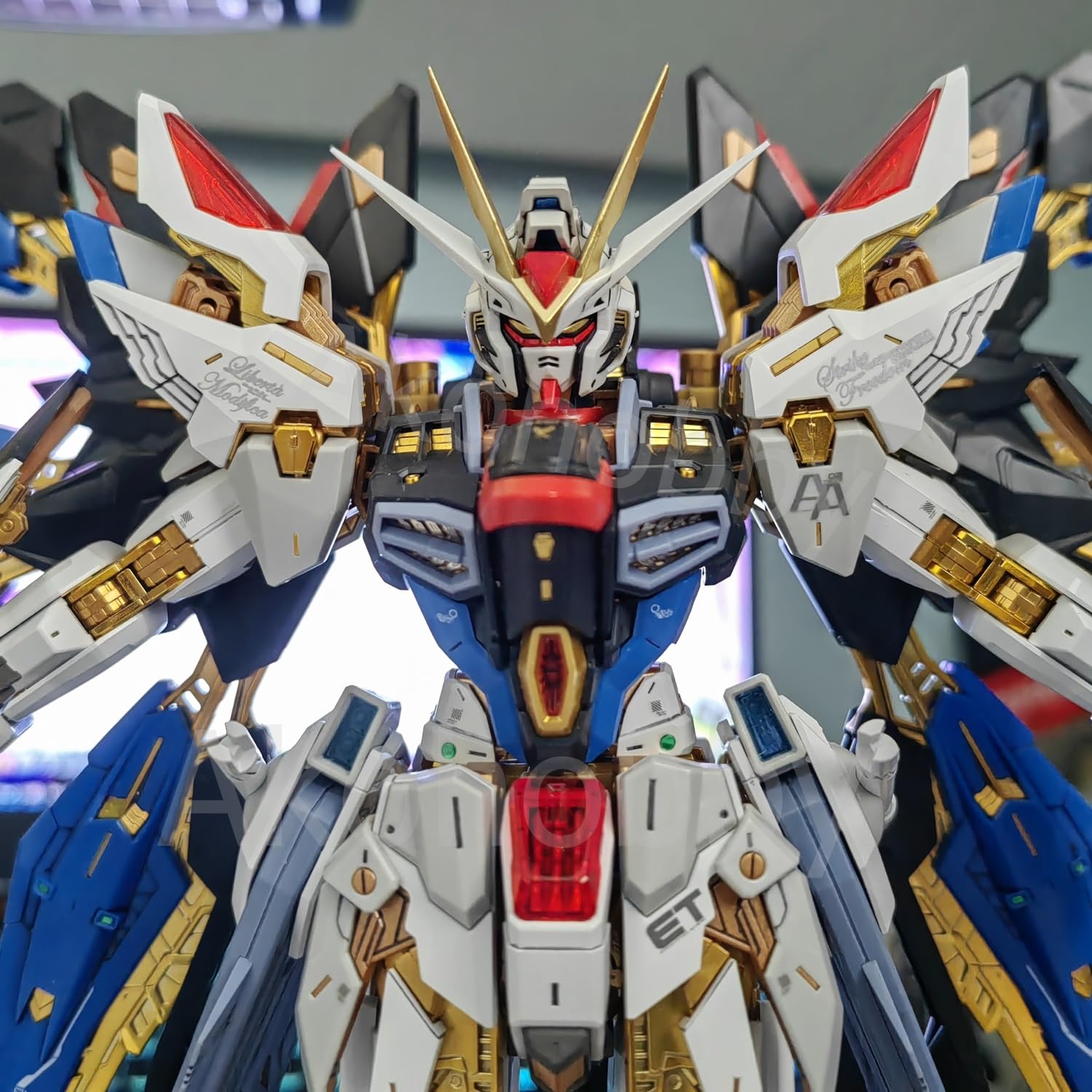 Mua MGEX MG Head Strike Freedom Gundam Modified Parts Exclusive ZGMF ...