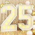 Amazon.com: 4ft Light Up Numbers 25 Number with Lights Bulbs White ...