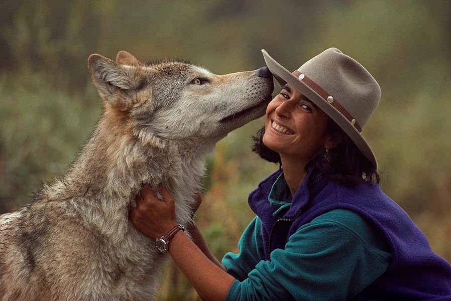 Amazon | The Wisdom of Wolves: Lessons from the Sawtooth Pack | Dutcher ...