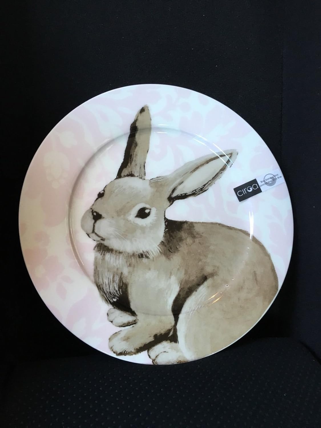 Amazon.com | Ciroa 4 Dinner Plates Easter Pink Bunny Rabbit: Dinner Plates