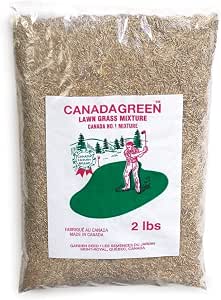 Amazon.com: Canada Green Grass Seed - 6 Pound Bag : Patio, Lawn & Garden