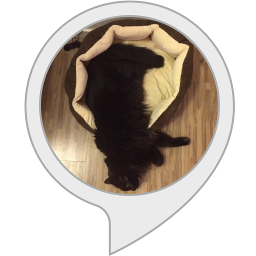 Amazon.com: Cat Feed Tracker : Alexa Skills