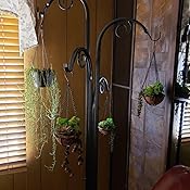 Amazon.com : Panacea 88155 4 Way Scroll Basket Hanger Plant-Hooks, 72 ...