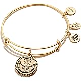 Amazon.com: Alex and Ani Bangle Bar "Path of Life" Rafaelian Gold-Tone Expandable Bracelet ...