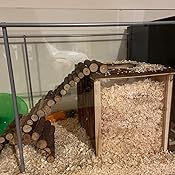 Trixie Large Wooden Digging Tower for Pet Hamster, 25 × 24 × 20 cm ...