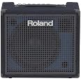 Amazon.com: Roland KC-200 4 Channel Mixing Keyboard Amplifier, 100-Watt ...