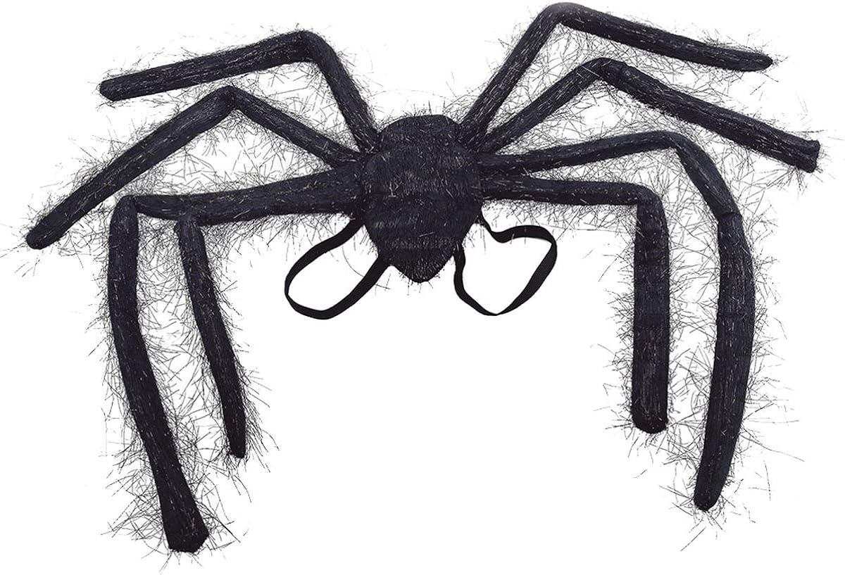 Amazon.com: Multi Coloured Spider Legs On Wings: Clothing