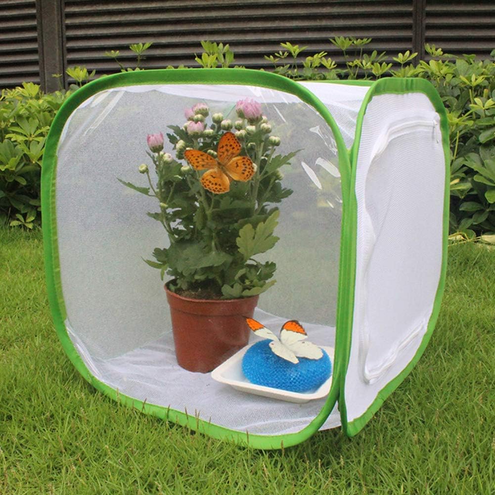 Insect Breeding Cages Butterfly Habitat Cage with Clear PVC Film ...