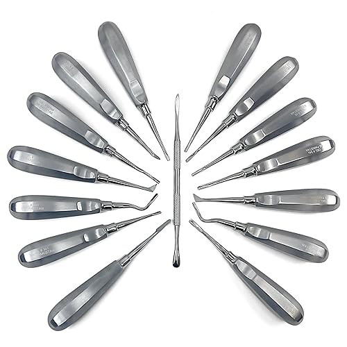 DEXA DENTAL Root Elevator Set – Luxating Periotome, Apical Molt ...