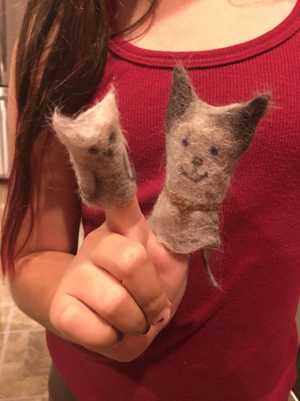 $3/mo - Finance Crafting with Cat Hair: Cute Handicrafts to Make with ...