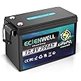 Amazon.com: 12V 300Ah Lithium LiFePO4 Battery, ECIENWELL 15000+ Deep Cycle Marine Battery with ...