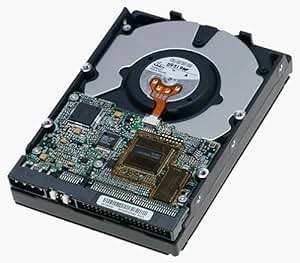 Amazon.com: Western Digital 20.4GB HDD Internal Drive: Electronics