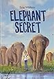 Elephant Secret: Walters, Eric: 9781328796172: Amazon.com: Books