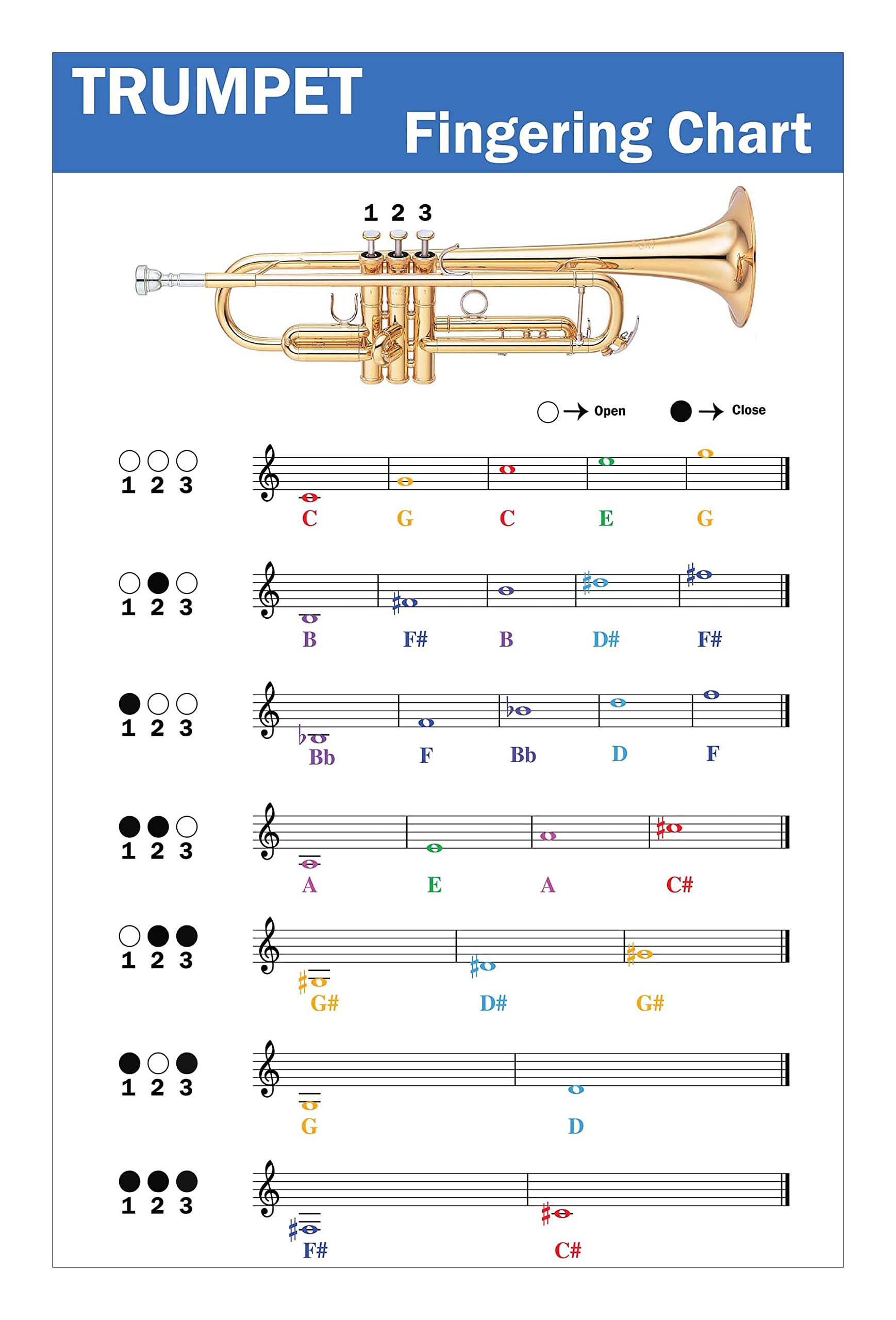 Mua QMG Trumpet Fingering Chart with Color-Coded Notes, Learn Trumpet ...