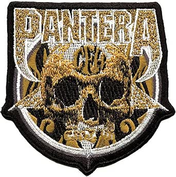 Amazon.com: Pantera Skull & Name Logo Embroidered iron On patch p2176 ...