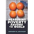 Measuring Poverty around the World: Atkinson, Anthony B.: 9780691191225 ...