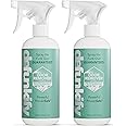 Amazon.com: Defunkify Odor Remover Spray, Peppermint - Crushes Odor ...