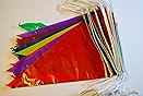 Amazon.com: 100 Foot Long Multicolored Plastic Pennant Party Rainbow ...