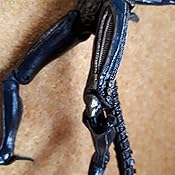 Defiance Alien (Aliens) NECA 7 Inch Series 11 Figure: Amazon.co.uk ...