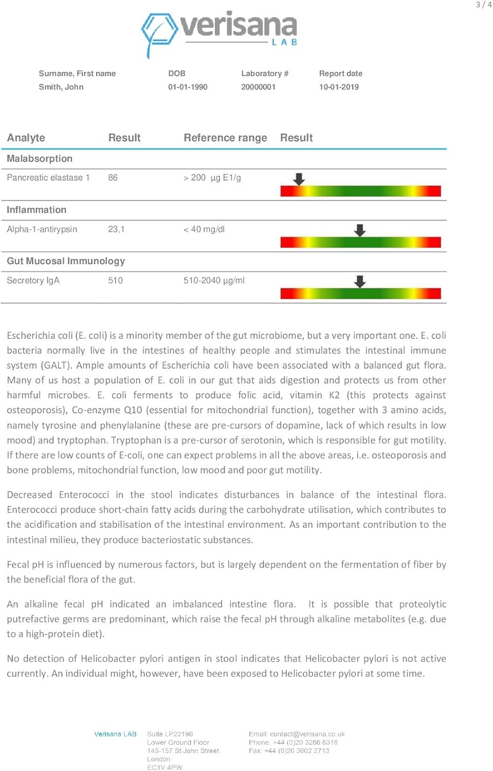 Gut Health Stool Test for Leaky Gut, Candida, Helicobacter Pylori ...