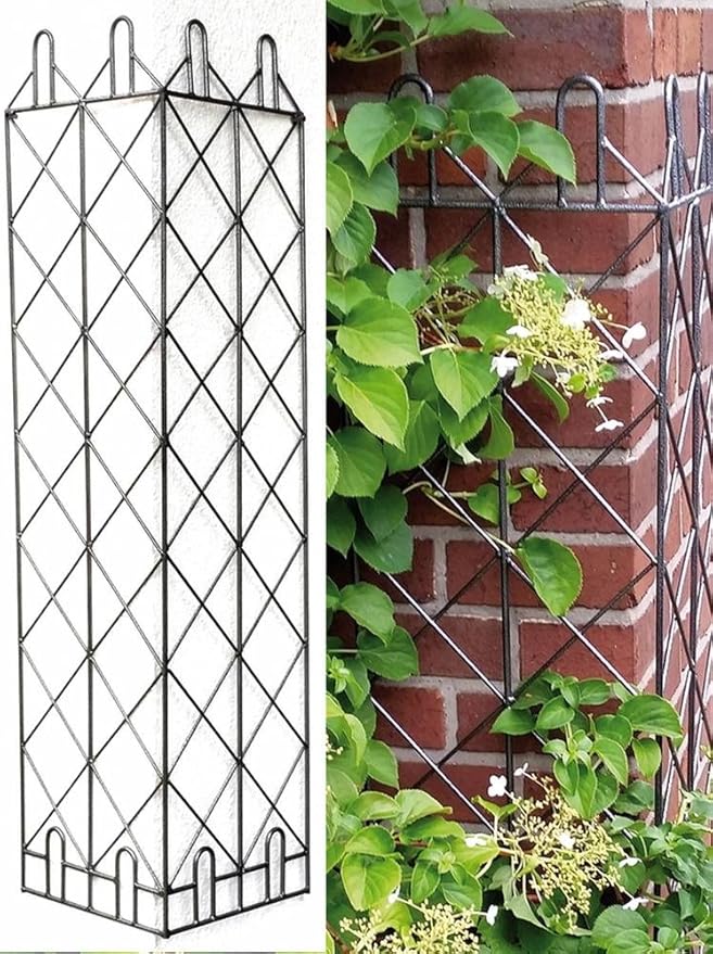 Corner Wall Trellis 121 x 30 x 30 cm: Amazon.co.uk: Garden & Outdoors