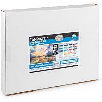 Amazon.com : Colorfin, PanPastel Artists Pastels, 20-Color Les Darlow ...