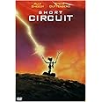 Amazon.com: Short Circuit : Ally Sheedy, Steve Guttenberg, Fisher ...