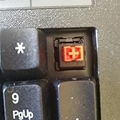 TVS Electronics Gold Prime Keyboard: Amazon.in: Electronics