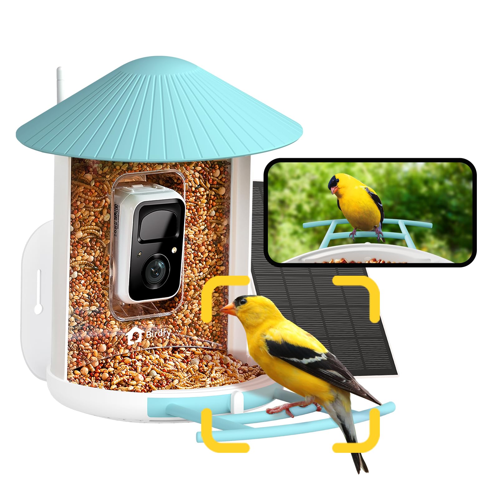 NETVUE by Birdfy AI Smart Bird Feeder with Camera Solar Powered, AI ...