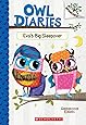 Amazon.com: Eva and the Lost Pony: A Branches Book (Owl Diaries #8 ...